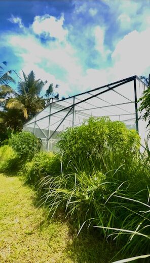 Happy Village Farm Expands Cucumber Production in Bali - HappyVillage